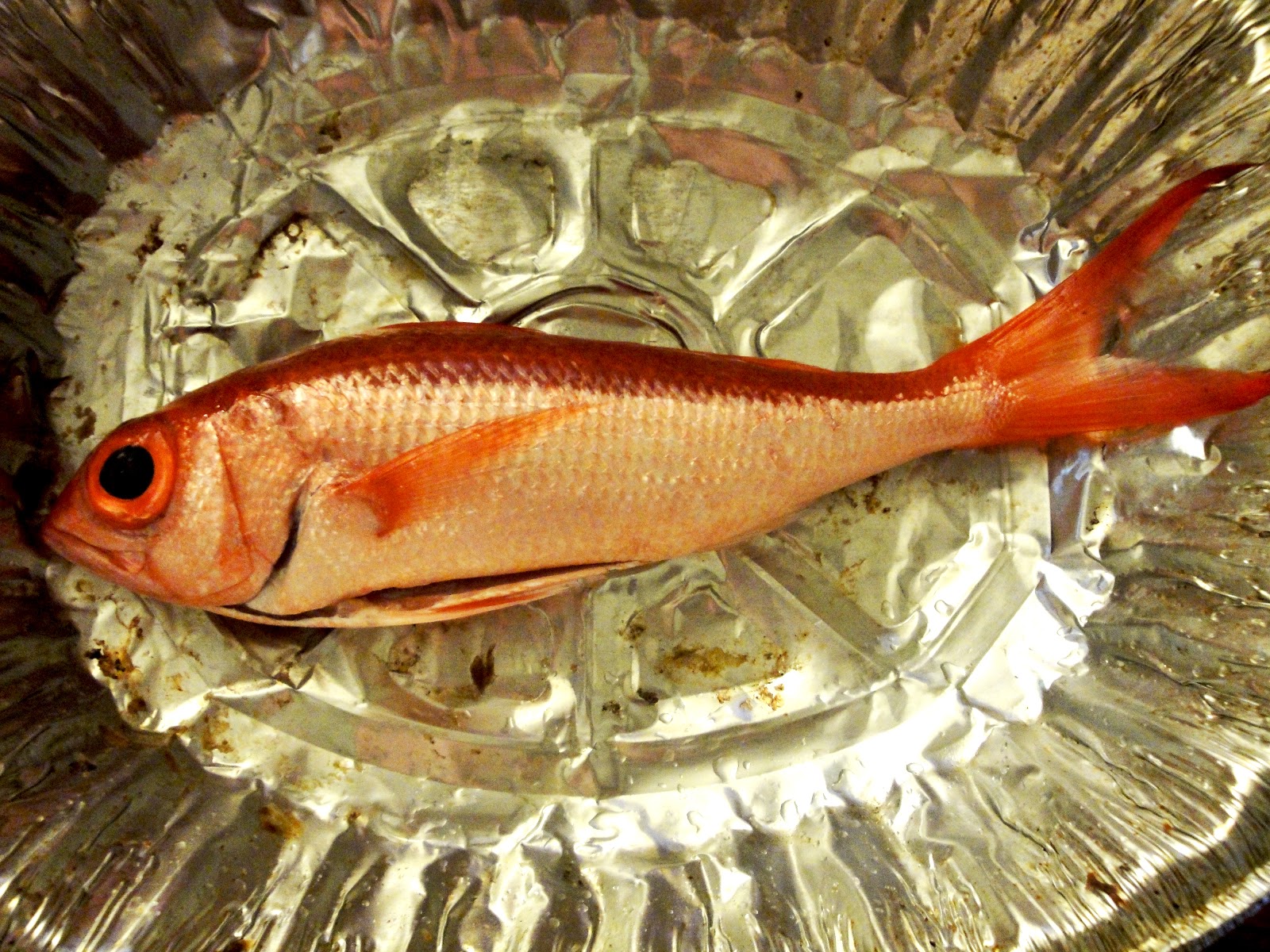 Adventures in the Kitchen: Pan fried Whole Redfish with Chimichurri Sauce