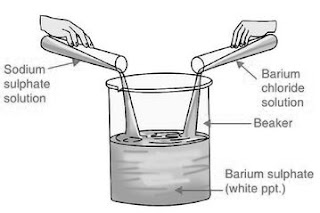 To perform the reaction between sodium sulphate and barium chloride ...