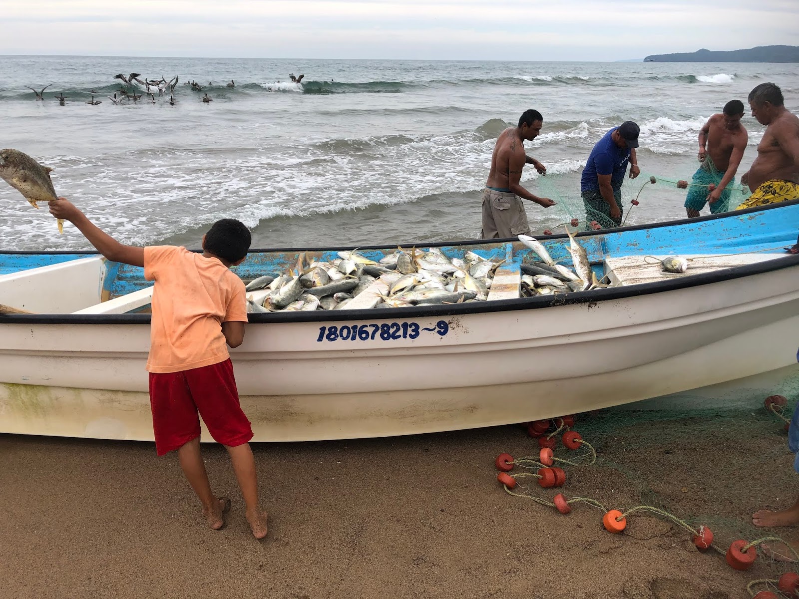 Cam and Nancy: Second boat comes in with huge haul of fish!