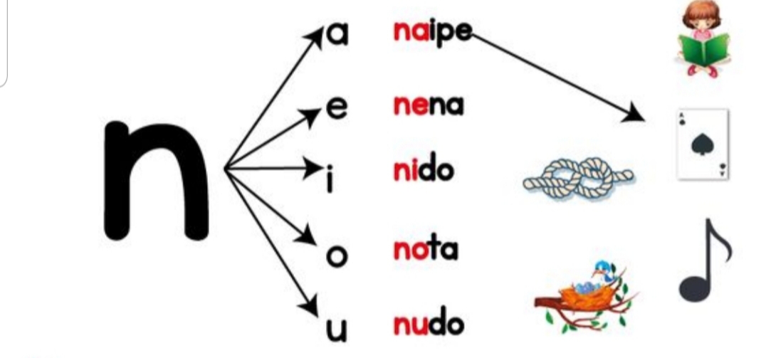 GRADO 1º-1 SEDE CECILIA MUÑOZ RICAURTE: LENGUA CASTELLANA (Grado Primero)