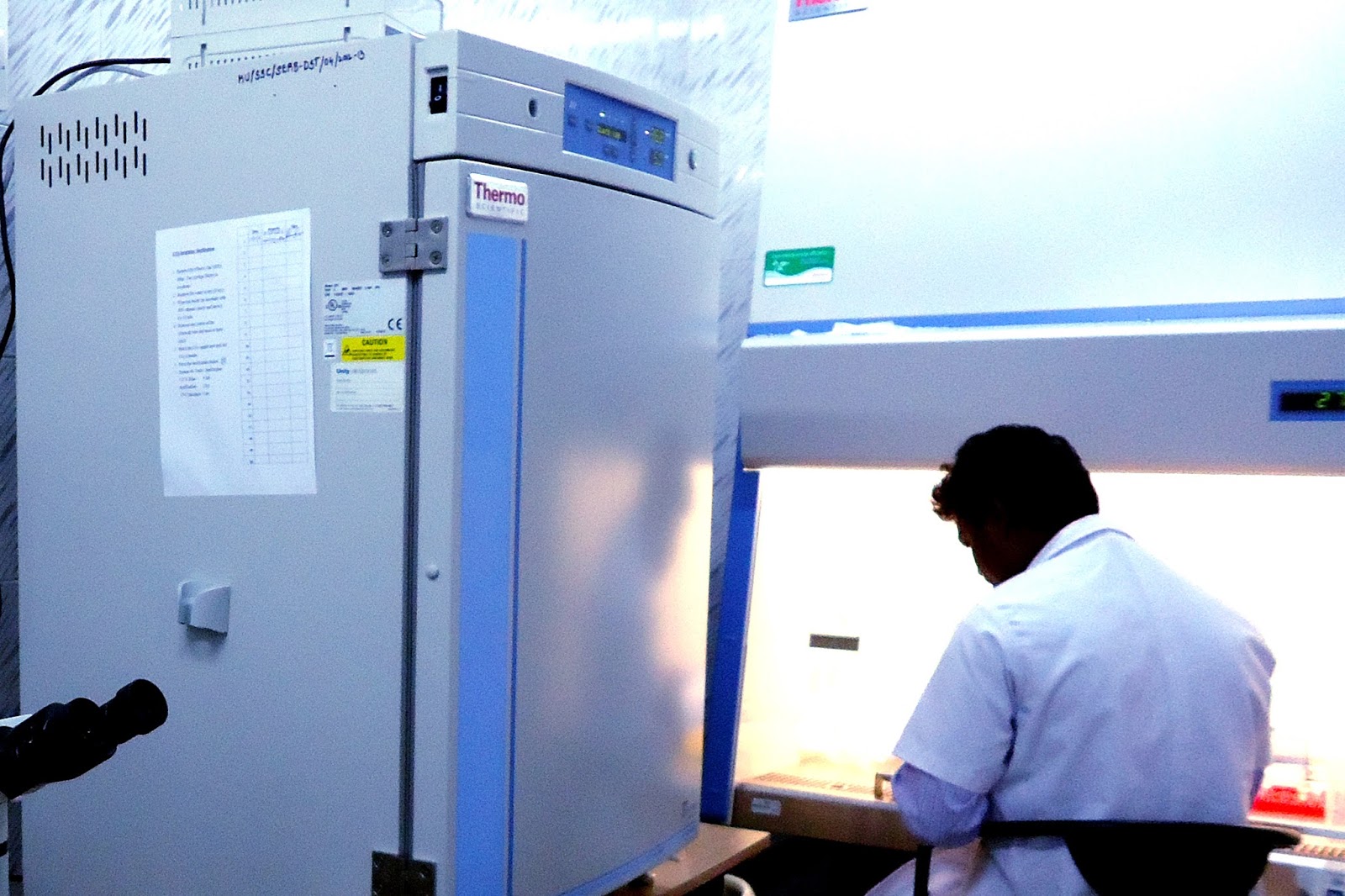 MOLECULAR BIOMEDICINE LABORATORY : GALLERY