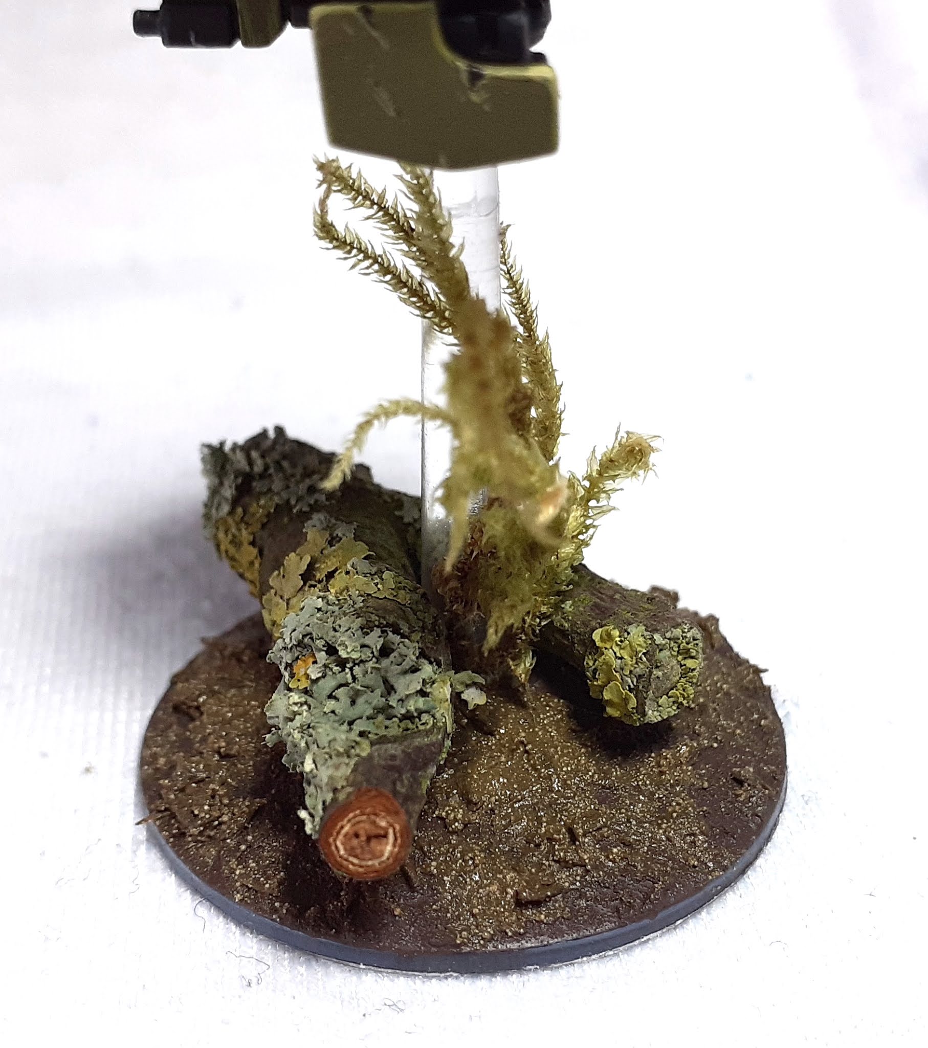 Forest Basing Step by Step