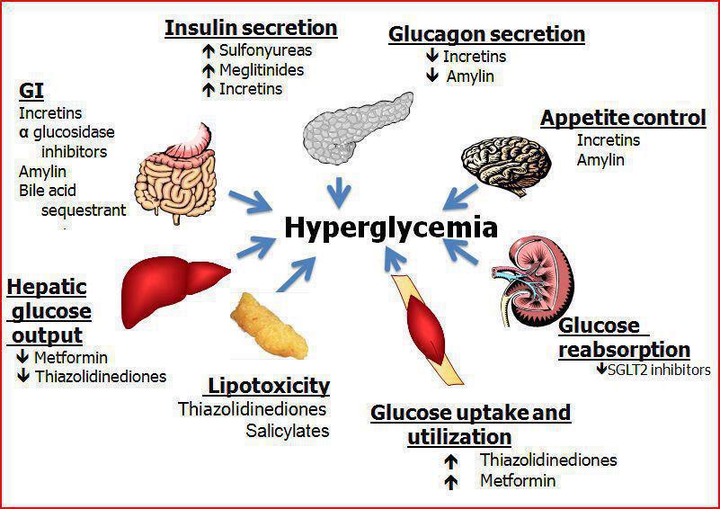 Precious Family: HYPERGLYCEMIA ....