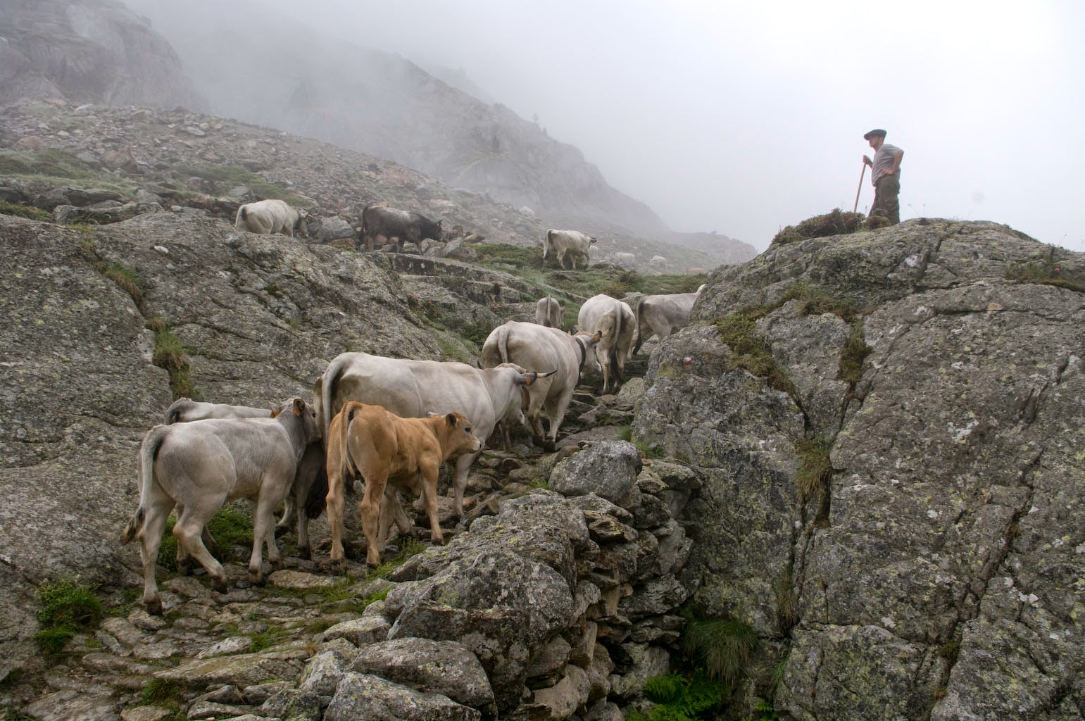 The Beret Project: Transhumance in the Vicdessos