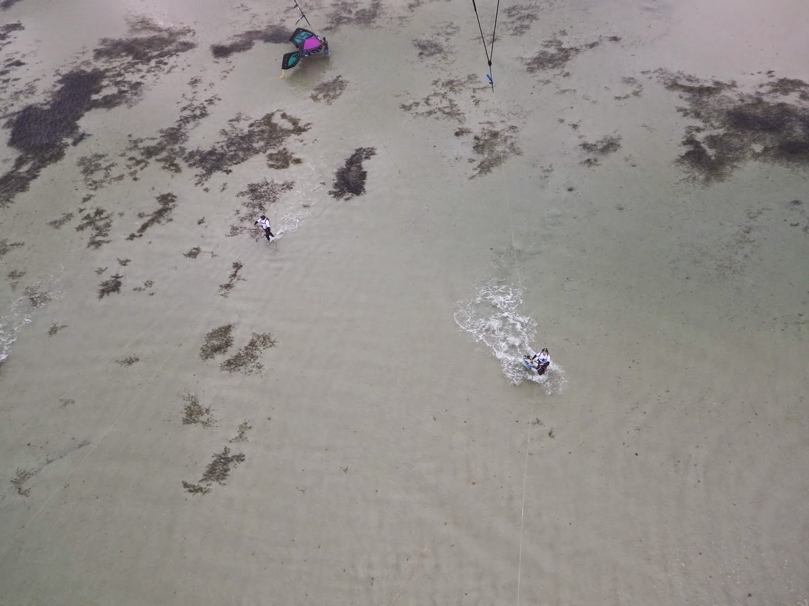 Peter's kitesurfing blog: Kitesurfing Across The Bay to Conquer Cancer ...