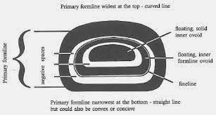 My Professional Teaching Journey: Ovoids!