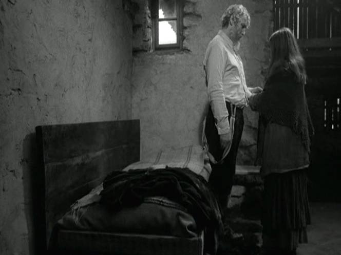 The Turin Horse (2011): Hungarian Master Filmmaker Béla Tarr’s Swan ...