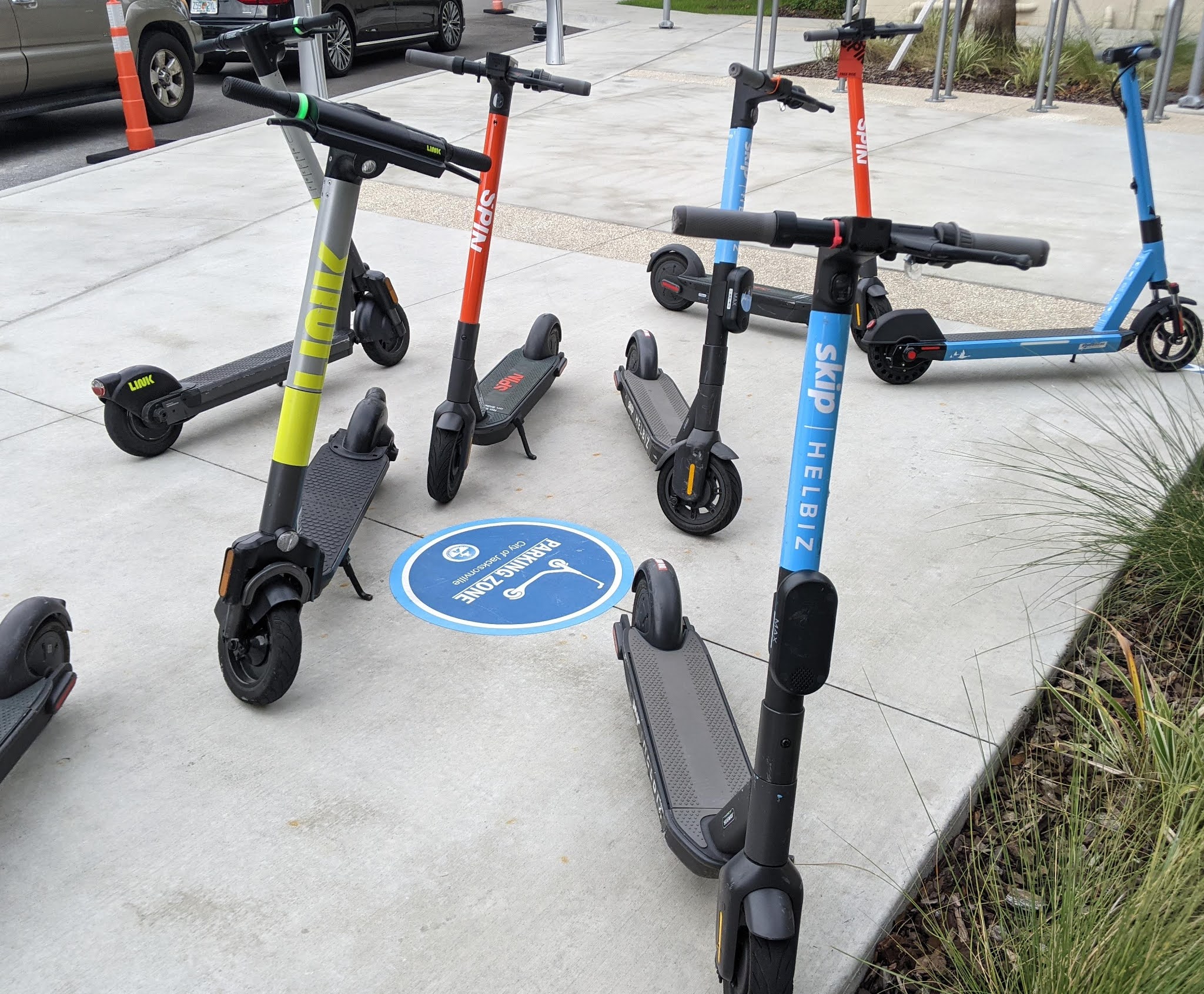 Our Odyssey: Finding Nemo in Fernandina Beach