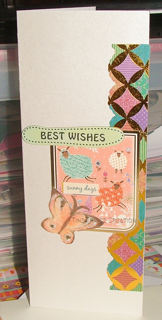 Craft, animals and growing veggies: CAS sketches