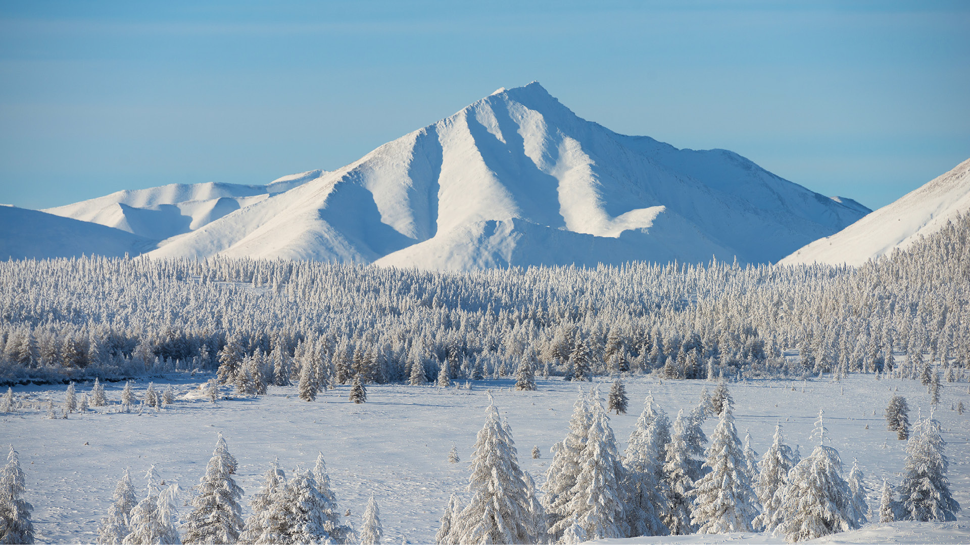 The Amazing World: Oymyakon village ( World's Coldest Permanently ...