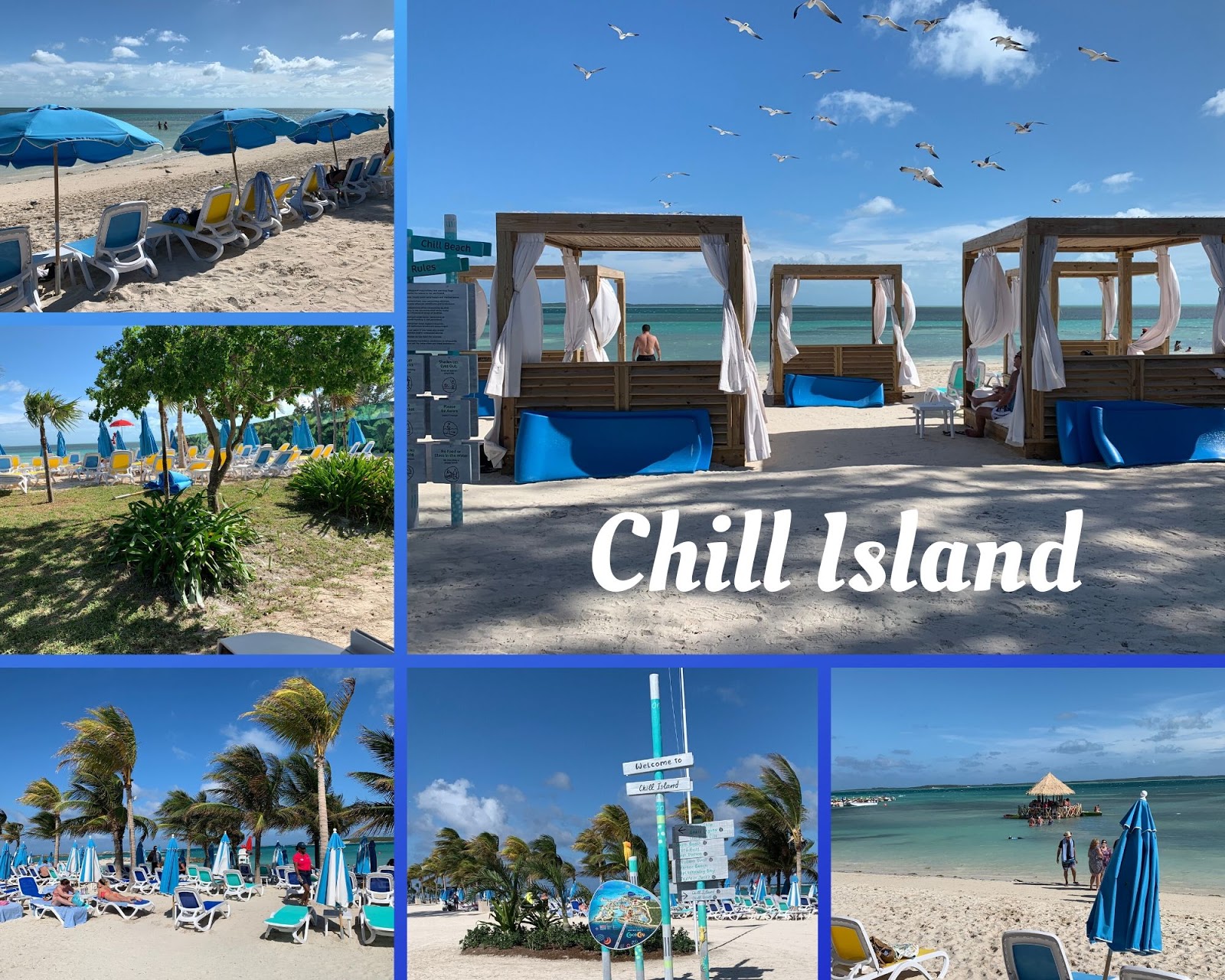 Cruise With Christine Pappin: January 2020