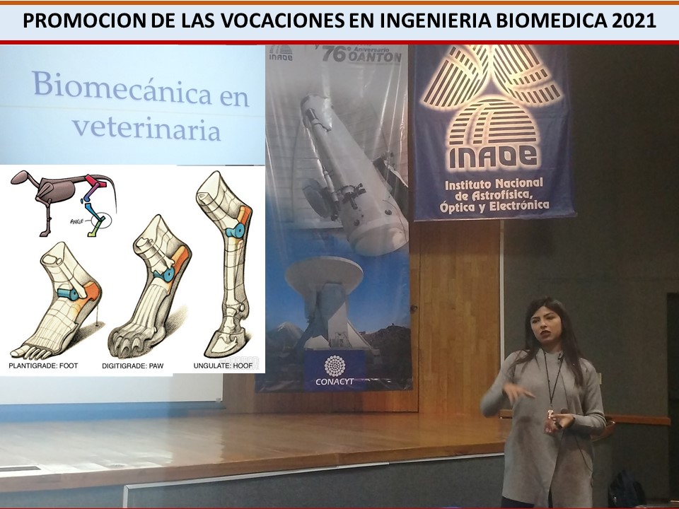 CD MEMS INAOE : Taller Nacional de MEMS 2021