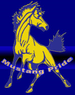CWOSSABASKETBALL.COM: Brantford Expositor: Confident Mustangs Sink ...