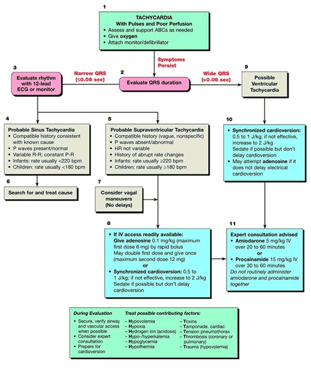PALS(PEDIATRIC ADVANCED LIFE SUPPORT) ALGORITHMS
