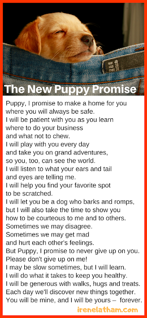 Live Your Poem...: "The New Puppy Promise" poem