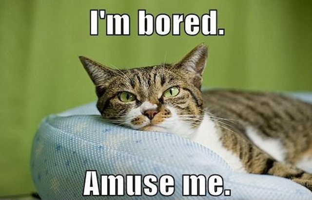 Random Questions To Quell Off Boredom While Home Quarantining random-questions-to-quell-off-boredom-while-home-quarantining