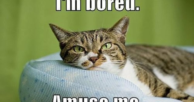 Random Questions To Quell Off Boredom While Home Quarantining