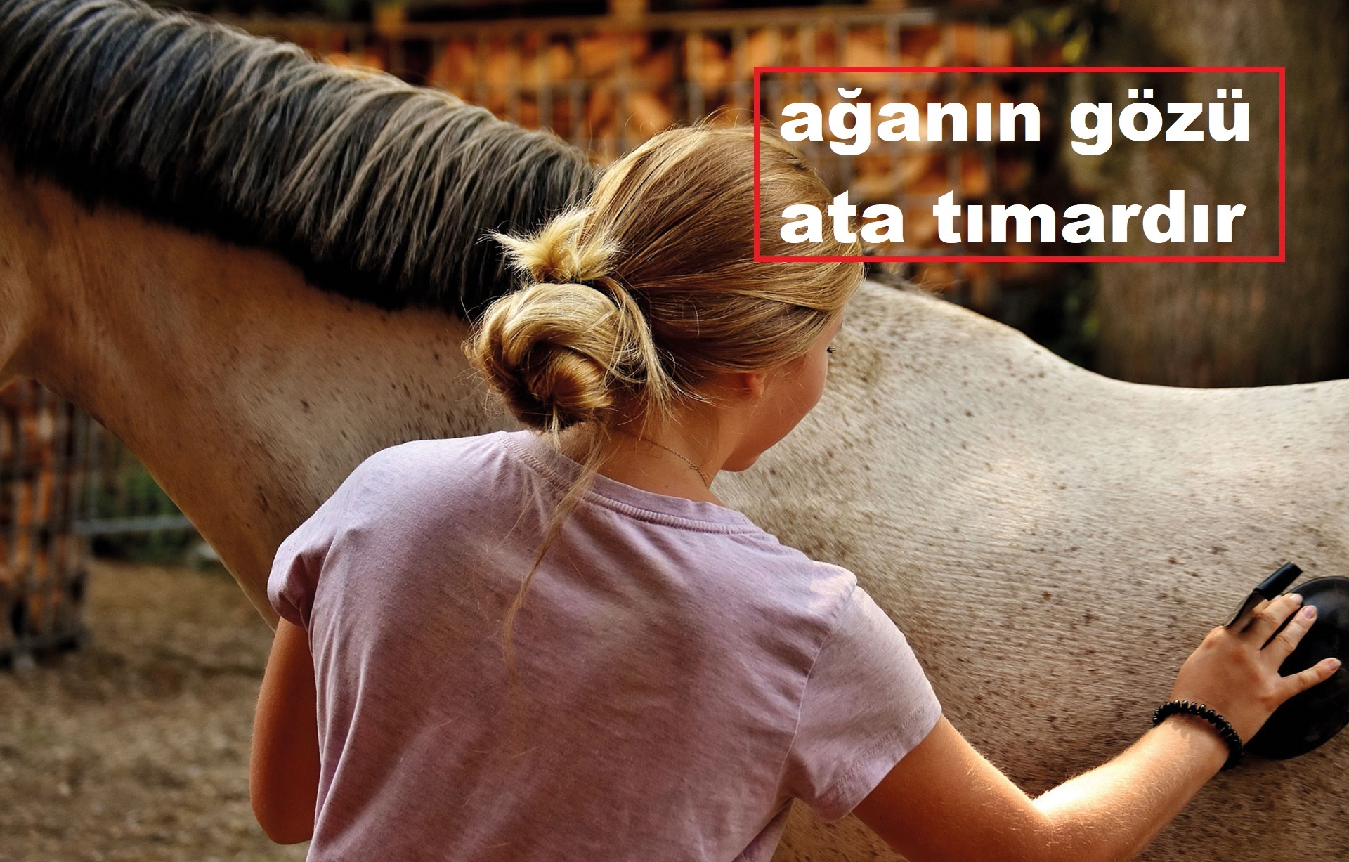 ağanın gözü ata tımardır - BilginCin