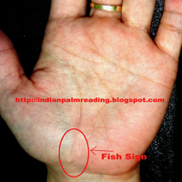 LEARN INDIAN PALMISTRY ONLINE FREE ~ INDIAN PALM READING | HAST REKHA GYAN