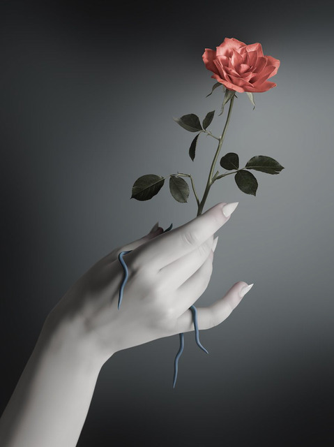 seguir la senda: Galería de Imágenes: Manos con flores