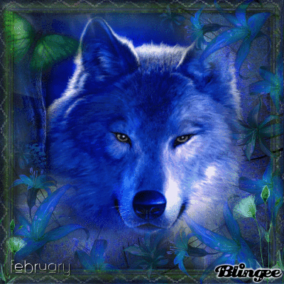 Coruja Noturna: 13/04 - DIA DO LOBO AZUL (MONGÓLIA)