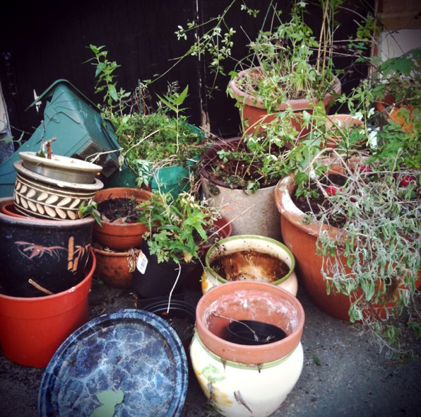 Found, now home: Treasures