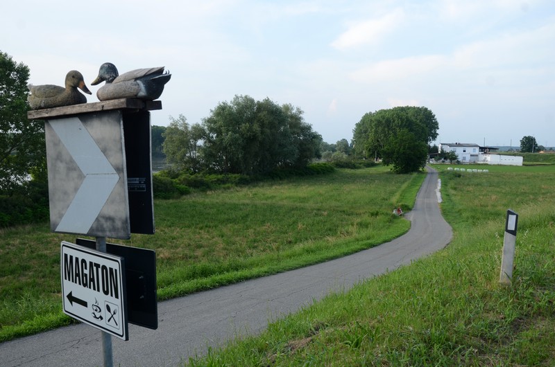 Tentativi digitali: Magaton