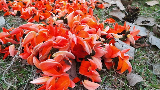 Tale of Purulia- an information reach story