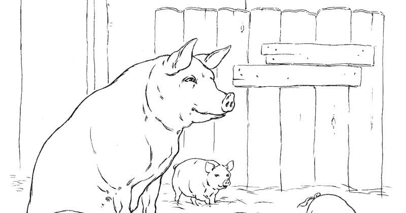Crayon Palace: Sitting in a pig pen eating and watching piglets...