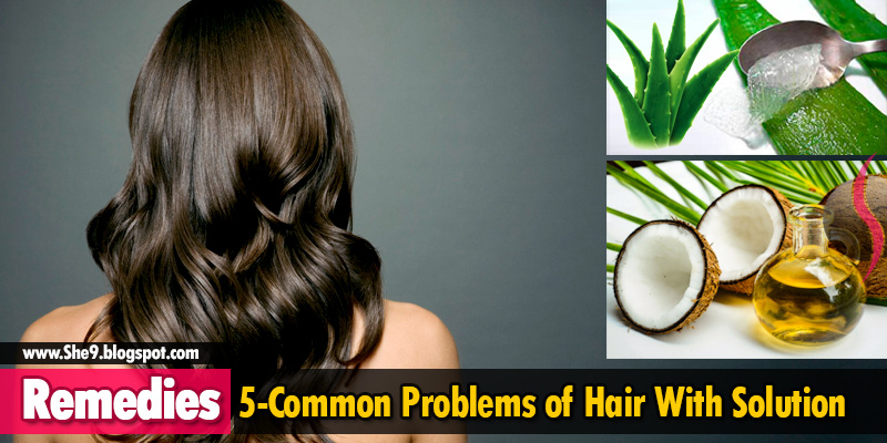 5 Common Problems of Hair With Best Solution ~ She9 | Change the Life Style