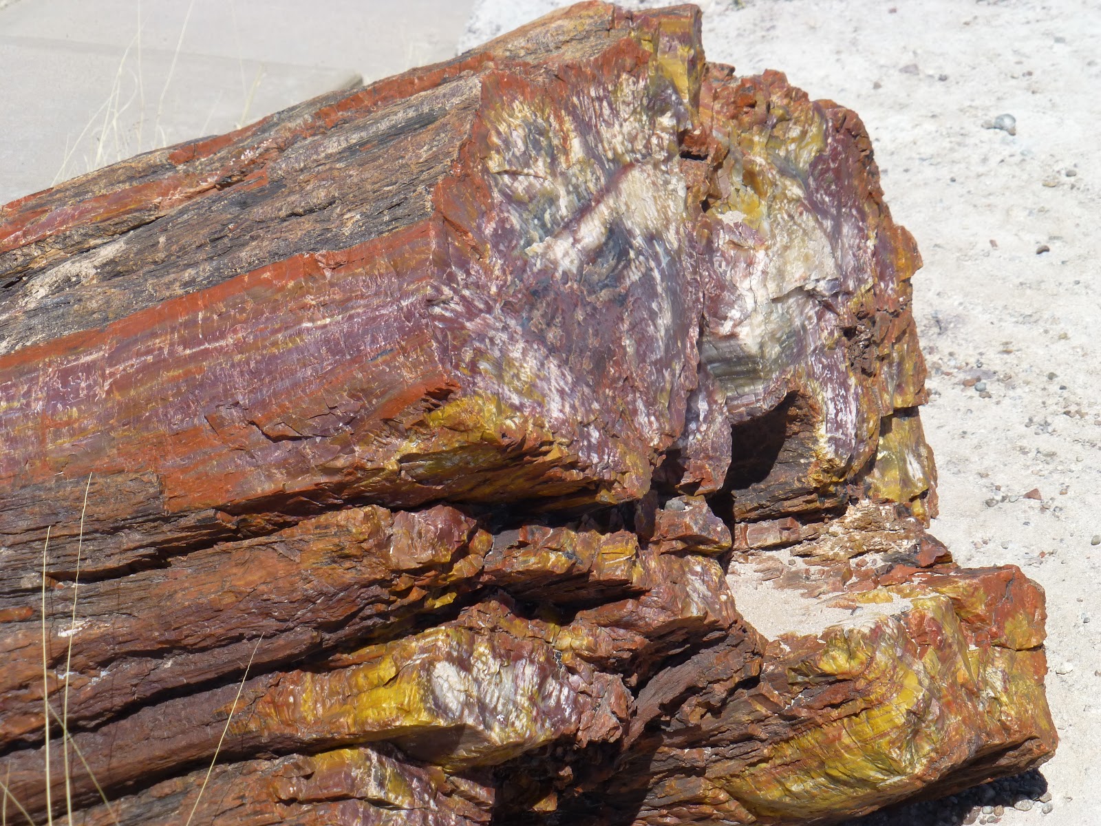 Jim and Barb's RV Adventure: Visits to Winslow, Petrified Forest ...