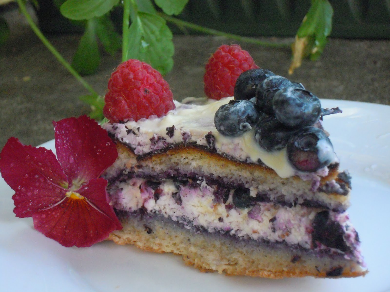 Mustika-kodujuustu tort