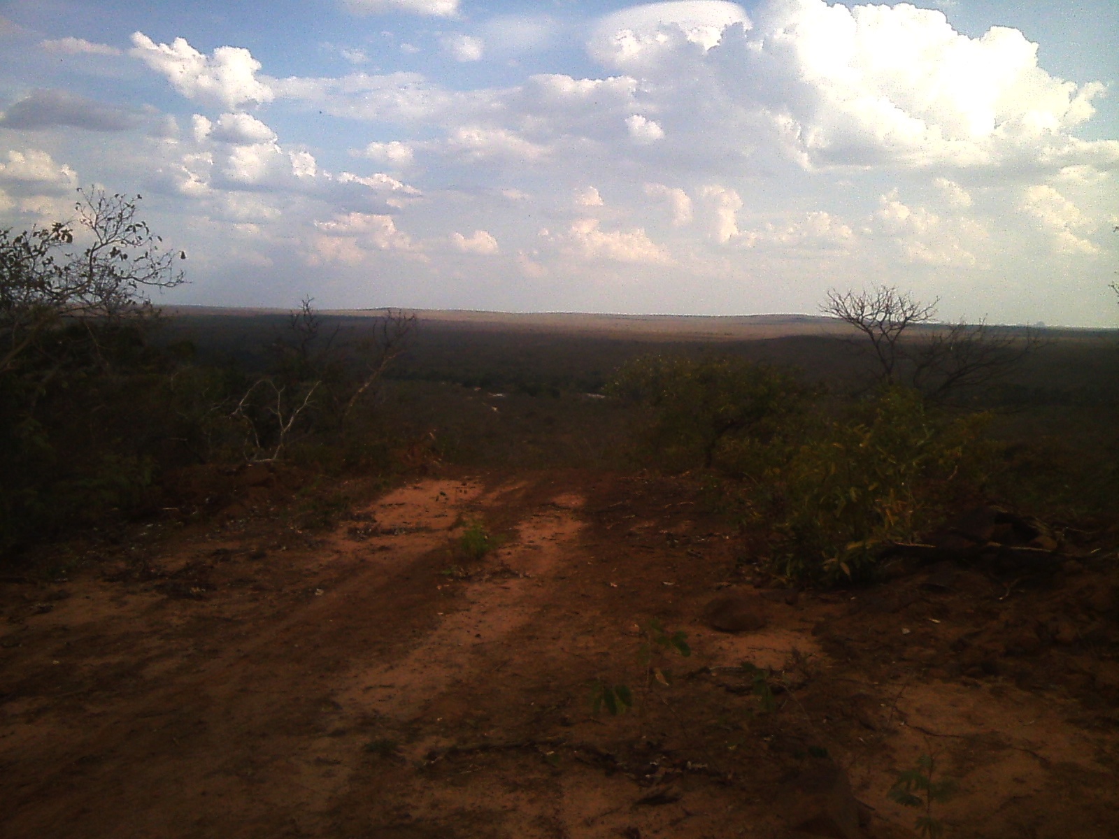 Captura Natureza: PRESERVE O CERRADO