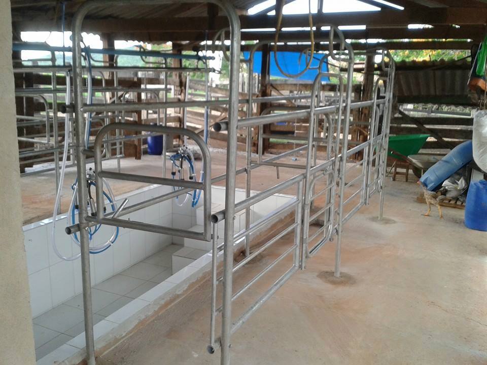 ORDENHADEIRA MECÂNICA (AGROPECUÁRIA)