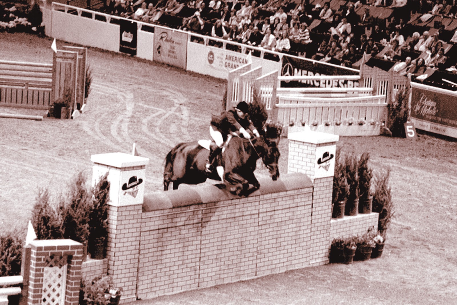 Horse Country Chic: The Historical Washington International Horse Show