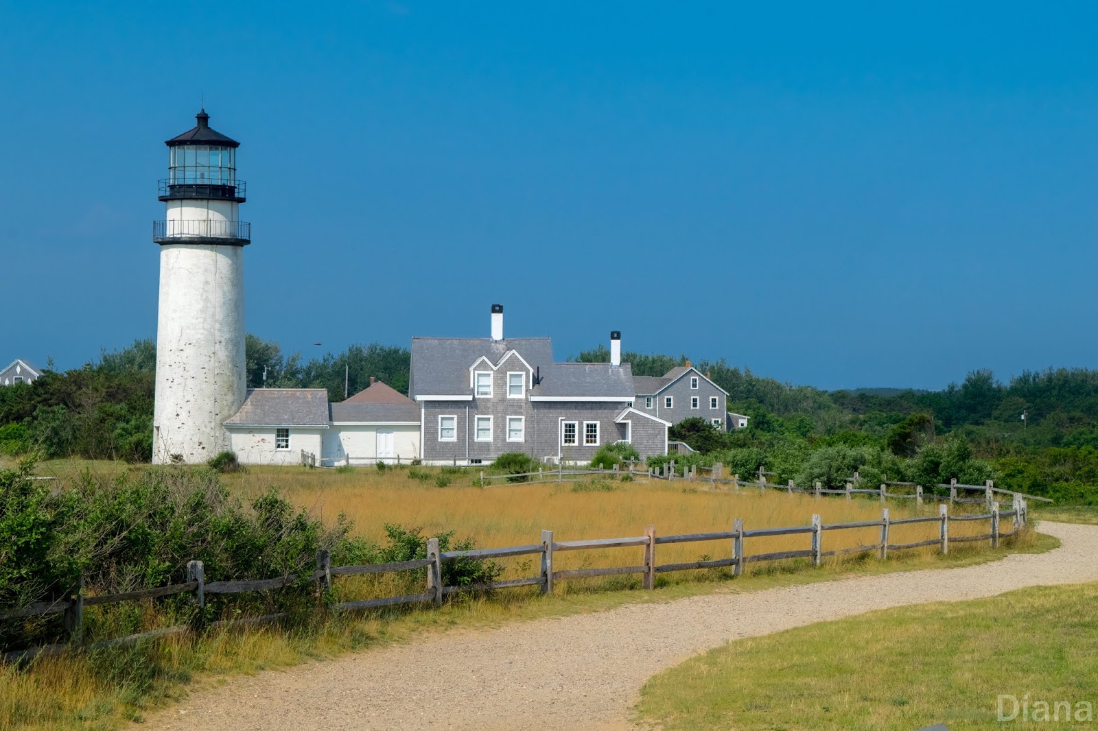 Diana’s Little Corner in the Nutmeg State: Saturday 9: Sentimental Journey