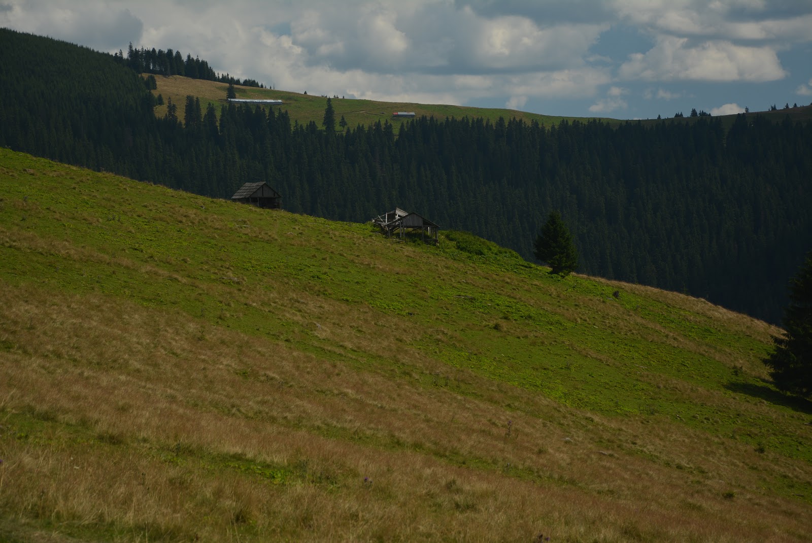 Munte, fotografie si nu numai: Muntii Stanisoarei: traseu Borca ...