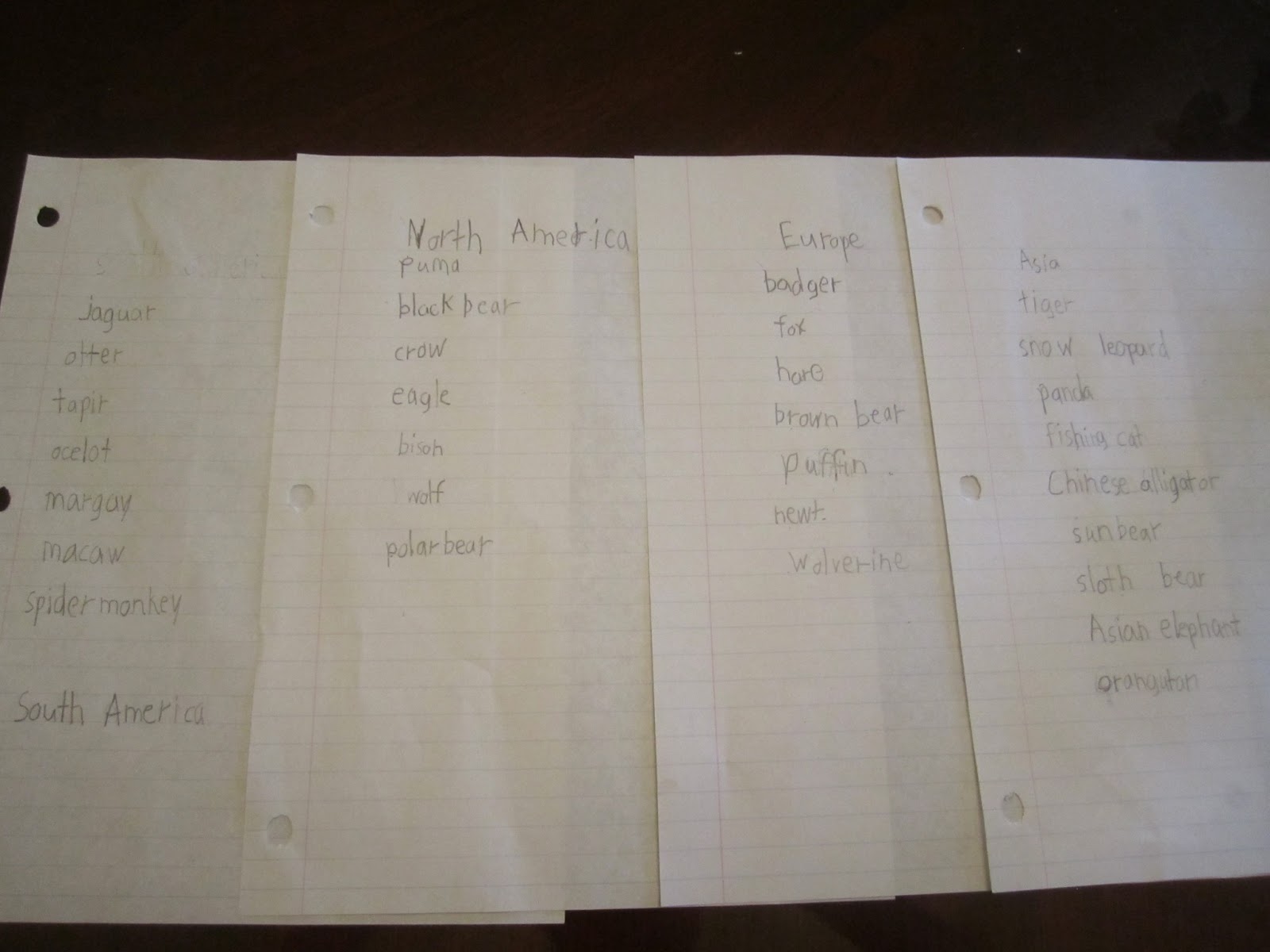 Another Science Project in First Grade