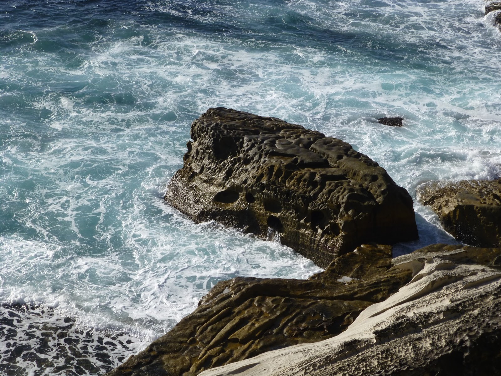 Snodge's subjective travel blog: Sydney - South Head Heritage Walk