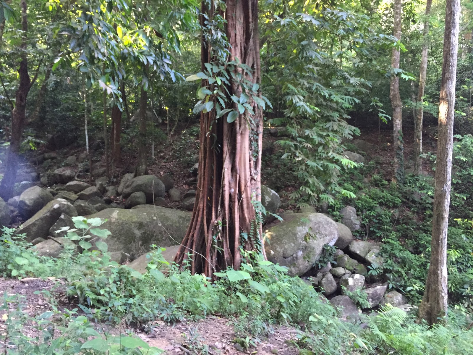 Adventurous: Gunung Datuk