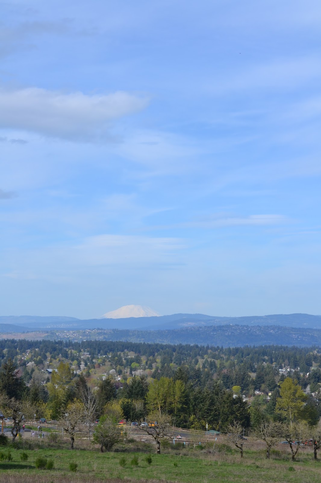 From Cup to Cup: powell butte nature park