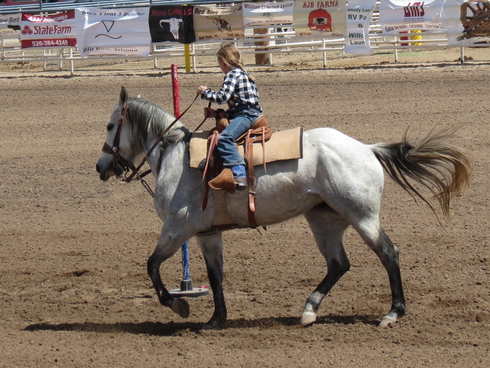 Books in Northport: Lessons Without Words