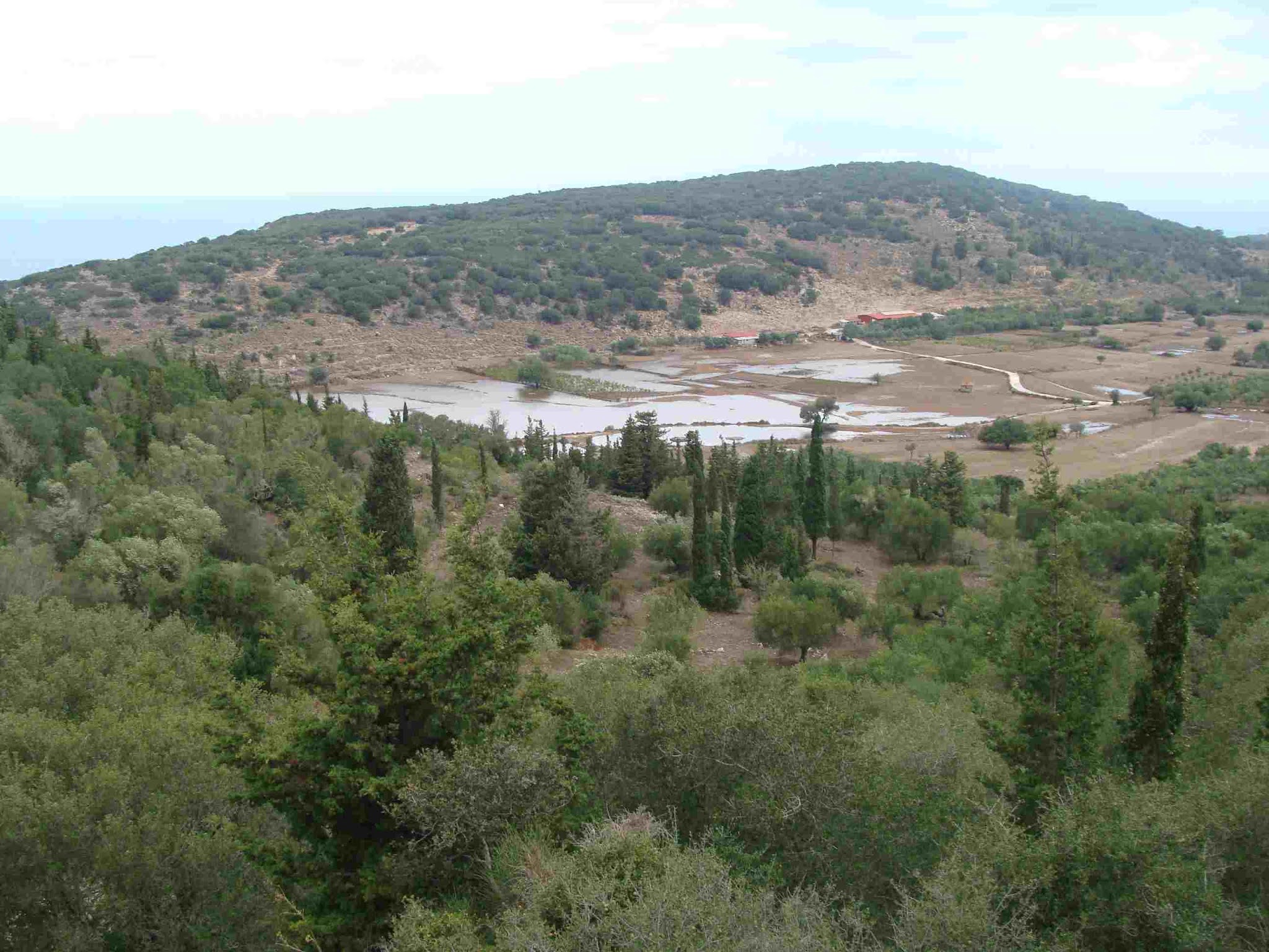 ΔΑΜΟΥΛΙΑΝΑΤΑ: ΔΑΜΟΥΛΙΑΝΑΤΑ ΚΥΚΛΩΝΑΣ ΙΑΝΟΣ