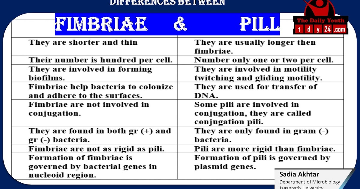 Differences between Fimbriae and Pili
