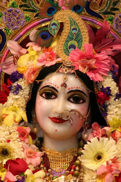 GLORIOUS KRISHNA: Mercy of Radharani is readily available for all