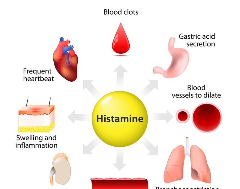 Histamine: It's Not Just About Allergies