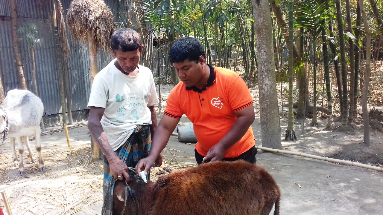 Animaltopic24 Animal Treatment Bangla animaltopic24-animal-treatment-bangla