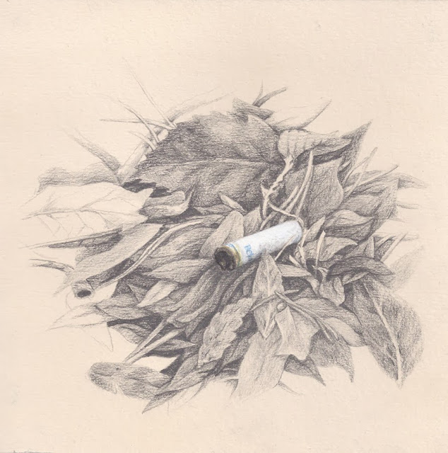 One of a Kind Commissions: Litter Drawings