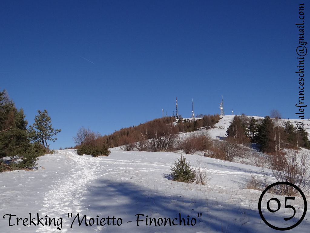 Trekking in Trentino: Moietto > Rifugio "Fratelli Filzi" (Finonchio)