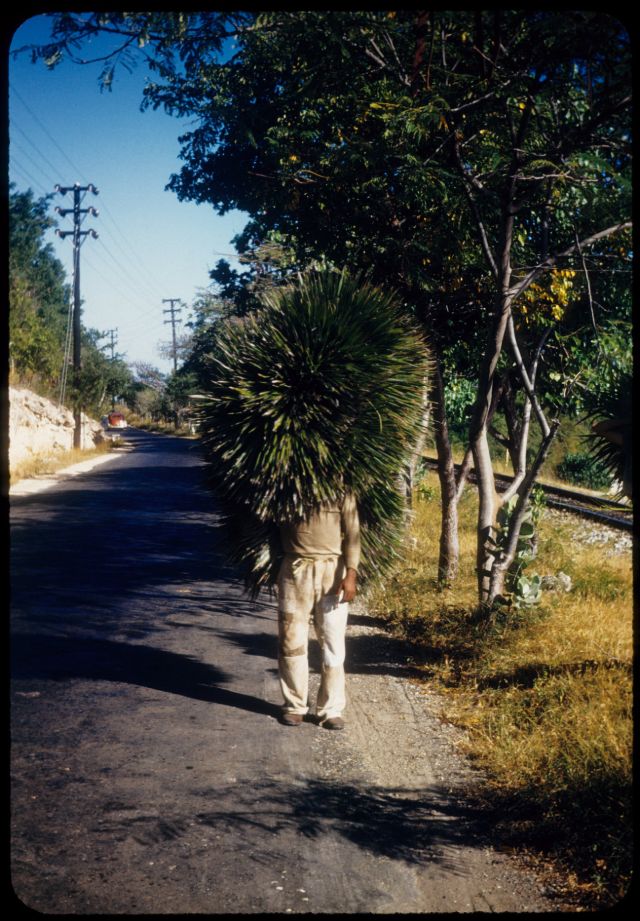 Everyday Life of Puerto Rico in the Mid-1940s Through Amazing Color ...